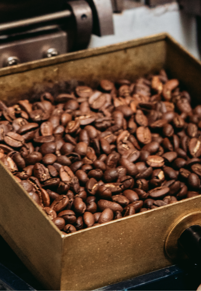 Caffé Bristot: a Belluno dal 1919