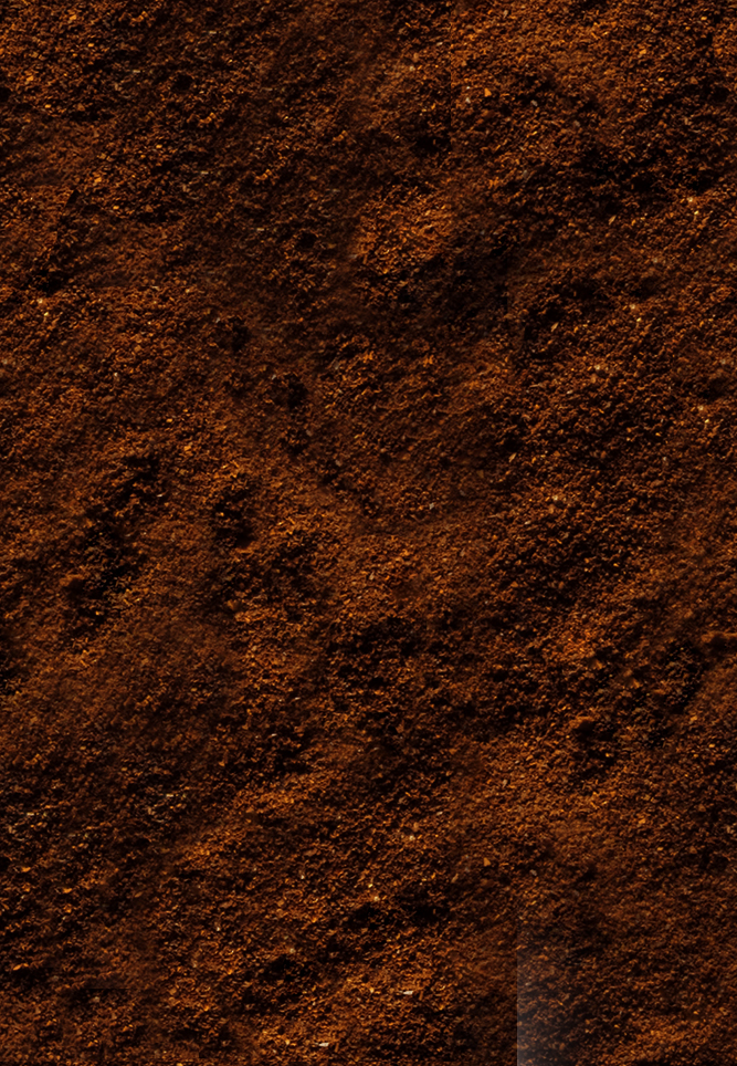 Caffè macinato - Caffè Bristot